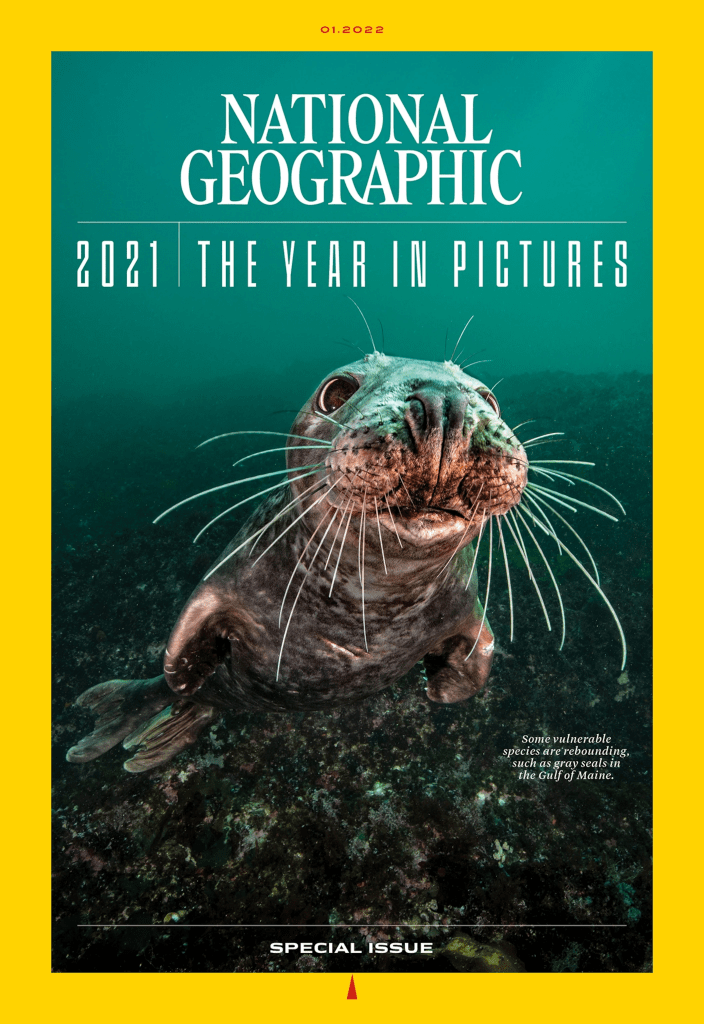 2021 Photos of the Year - Media Literacy Clearinghouse