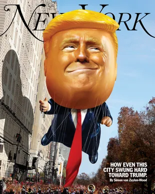 Trump Post 2024 Election Magazine Covers - Media Literacy Clearinghouse